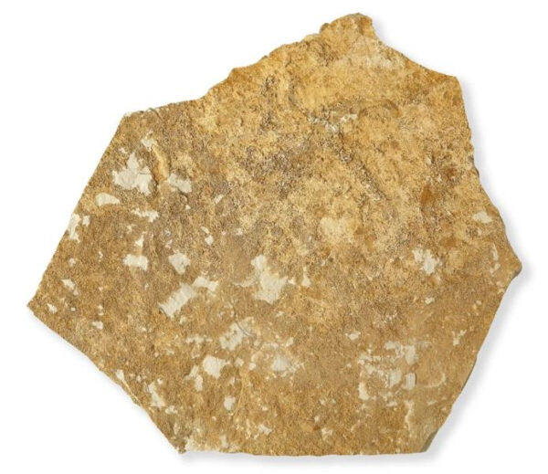 Opus Incertum – FRANCEPIERRE